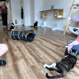 CATFE MONTCLAIR - Updated July 2025 - 32 Photos & 10 Reviews - 356 ...