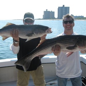 CAPTREE PRIDE - Updated July 2025 - 20 Photos & 30 Reviews - 3500 Ocean ...