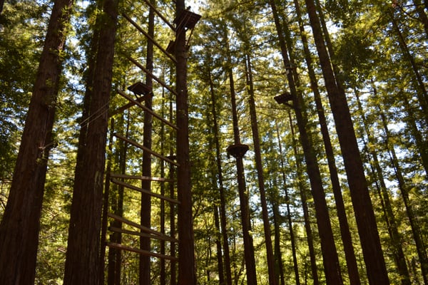 MISSION SPRINGS CAMPS AND CONFERENCE CENTER - Updated November 2024 ...