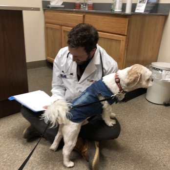 LOUISIANA STATE UNIVERSITY VETERINARY TEACHING HOSPITAL - Updated ...