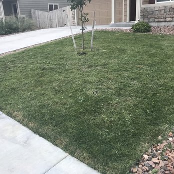 GRASS NINJA LAWN SERVICE - Updated August 2025 - 17 Photos - 3945 N ...