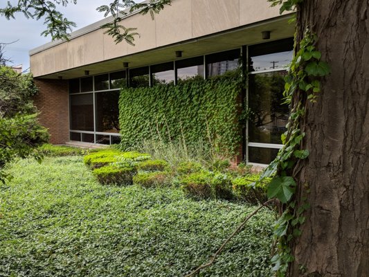 ROYAL OAK PUBLIC LIBRARY - Updated November 2025 - 97 Photos & 34 ...