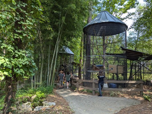 DUKE UNIVERSITY LEMUR CENTER - Updated September 2025 - 384 Photos & 84 ...