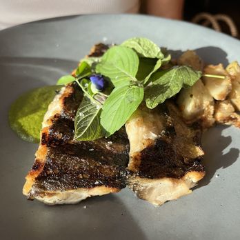 JUNIPER - Updated August 2024 - 1726 Photos & 690 Reviews - 2400 E ...