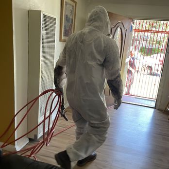 TERMITE BIZ - Updated September 2024 - 31 Photos & 362 Reviews - Morgan ...