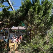 ESSEX COUNTY TURTLE BACK ZOO - 1432 Photos & 407 Reviews - 560 ...