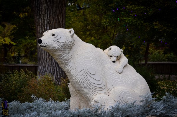 DENVER ZOO - 1815 Photos & 731 Reviews - Zoos - 2300 Steele St, Denver ...