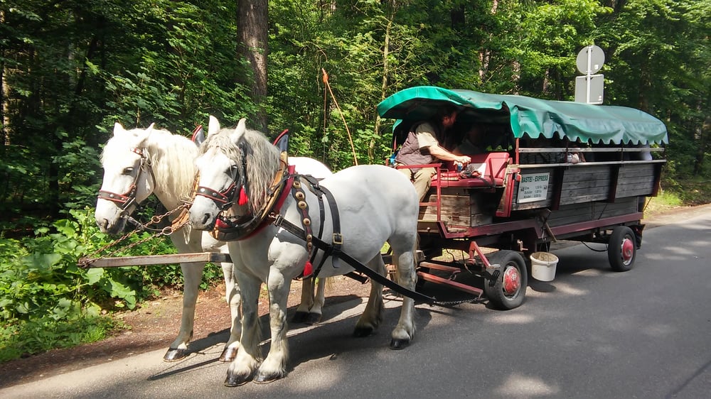 FERDEWAGENFAHRT UFF DE BASTEI Horseback Riding Basteistr 1 FERDEWAGENFAHRT UFF DE BASTEI Horseback Riding Basteistr 1