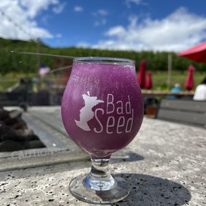 ROBIBERO FAMILY VINEYARDS - Updated September 2025 - 270 Photos & 230 ...