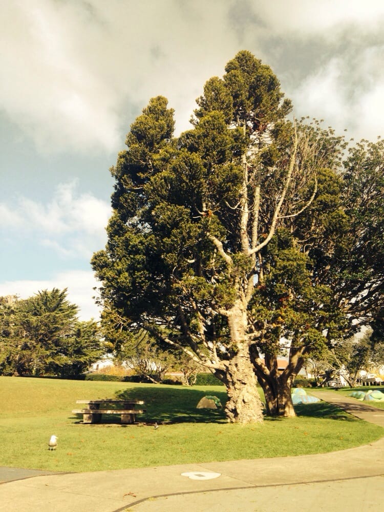 COYLE PARK - Updated July 2025 - 528 Pt Chevalier Rd, Pt Chevalier ...