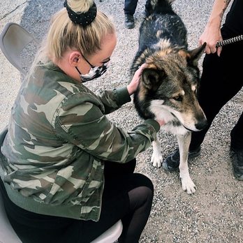 WOLF CONNECTION - Updated December 2025 - 53 Photos & 20 Reviews ...