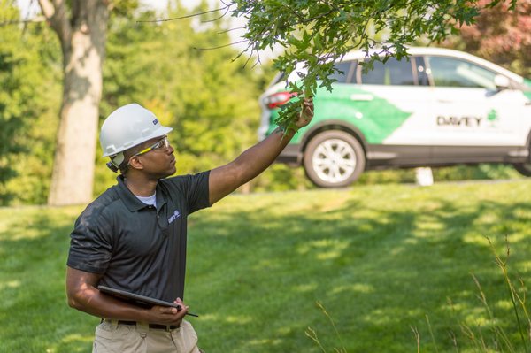 THE DAVEY TREE EXPERT COMPANY - Updated September 2025 - 11 Reviews ...