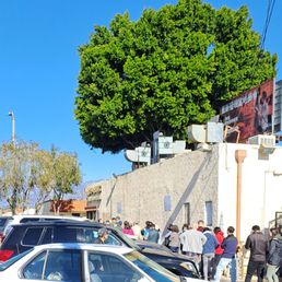 SAM WOO BBQ - Updated January 2026 - 1825 Photos & 834 Reviews - 514 W ...