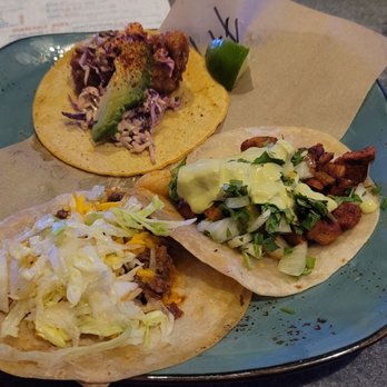 MODESTO TACOS TEQUILA WHISKEY - Updated July 2025 - 339 Photos & 167 ...