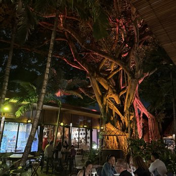 EL TURCO TURKISH FOOD - Updated July 2025 - 779 Photos & 404 Reviews ...