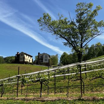 TRATTORIA DI MONTALUCE - Updated March 2025 - 160 Photos & 100 Reviews ...