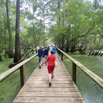 EDISTO RIVER ADVENTURES - Updated July 2025 - 40 Photos & 20 Reviews ...