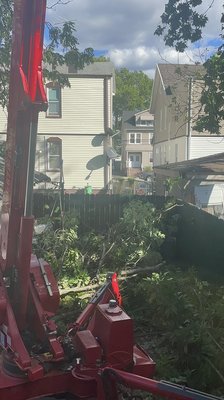 FRIENDLY TREE SERVICE - Updated December 2025 - 28 Photos & 184 Reviews ...