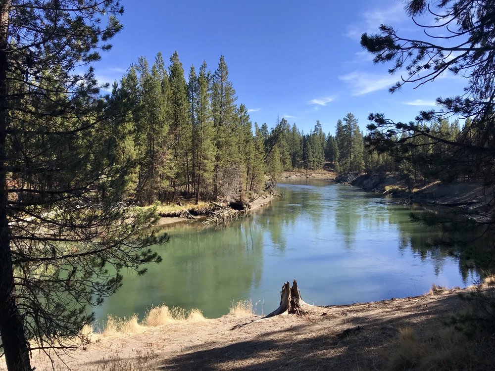 LaPine State Park - 94 Photos & 18 Reviews - Parks - 15800 State ...