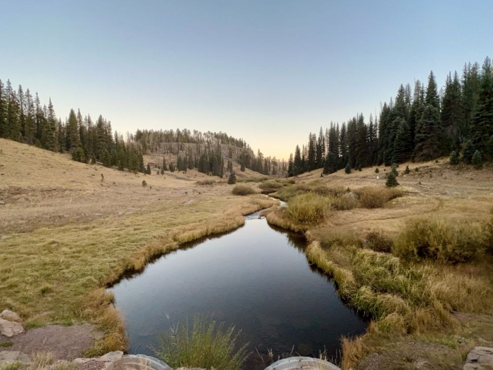 THOMPSON TRAIL 629 - Fr 116, Greer, Arizona - Hiking - Yelp