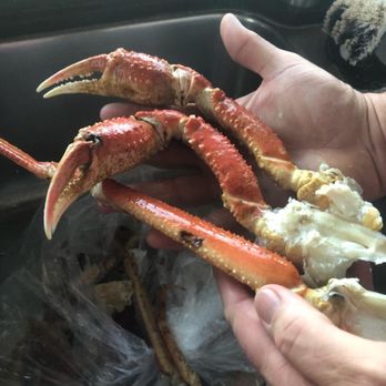 FISHEX - Updated June 2024 - 31 Photos & 44 Reviews - 4611 Gambell St ...