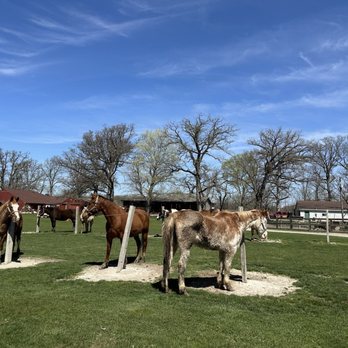 CEDAR CREEK RANCH - Updated December 2025 - 35 Photos & 36 Reviews ...