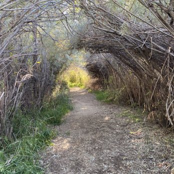 OXBOW NATURE STUDY AREA - Updated December 2025 - 139 Photos & 28 ...