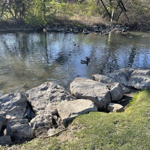 ADAMS RICCI PARK - Updated June 2025 - 26 Photos - 100 E Penn Dr, Enola ...