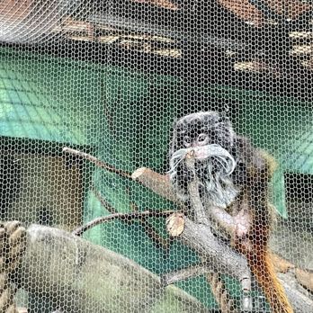 SANTA ANA ZOO - Updated August 2024 - 1405 Photos & 705 Reviews - 1801 ...