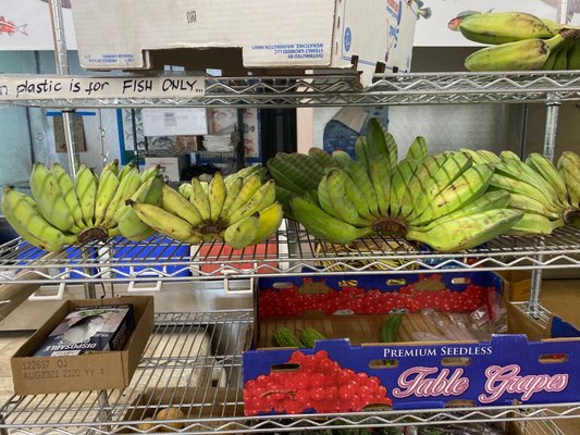 DA FISH MARKET - Updated December 2025 - 23 Photos - 546 Olive Ave ...