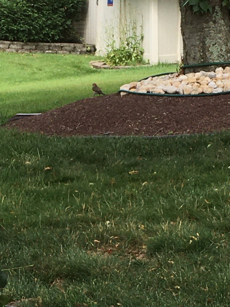 MARC LIEBOWITZ - SUPPORTING STRATEGIES - Trenton, New Jersey ...