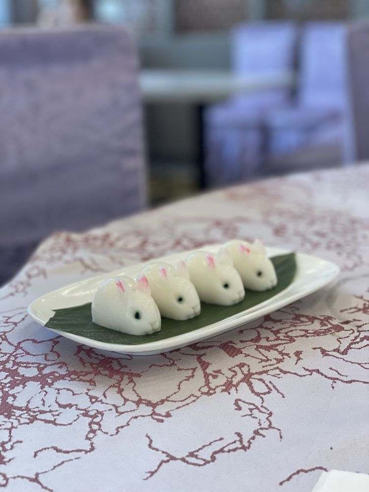 FORTUNE VILLA - Updated October 2025 - 79 Photos & 22 Reviews - 539 Bur ...