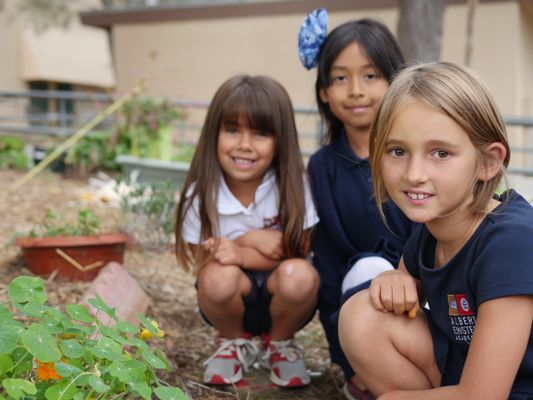 ALBERT EINSTEIN ACADEMY CHARTER ELEMENTARY SCHOOL - Updated October ...