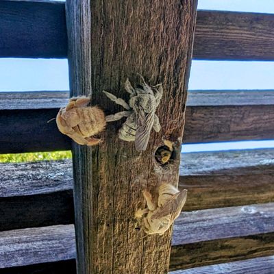 FAST ACTION PEST CONTROL - Updated December 2025 - 137 Photos & 756 ...