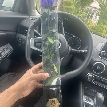 FANNIN FLOWERS - Updated October 2025 - 50 Photos & 89 Reviews - 4803 ...