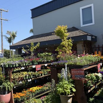 MINER’S ACE HARDWARE - Updated December 2025 - 38 Photos & 78 Reviews ...