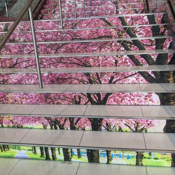 THE ORIGIN - Updated April 2024 - 58 Photos - 169 Enterprise Boulevard ...