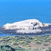 TOMALES POINT TRAIL - TULE ELK PRESERVE - 940 Photos & 135 Reviews ...