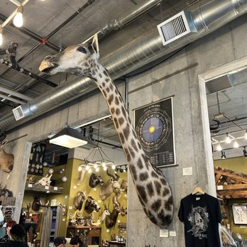 PAXTON GATE - Updated October 2025 - 198 Photos & 167 Reviews - 4204 N ...