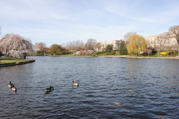 WADE PARK LAGOON - Updated March 2024 - 27 Photos & 16 Reviews - Martin ...