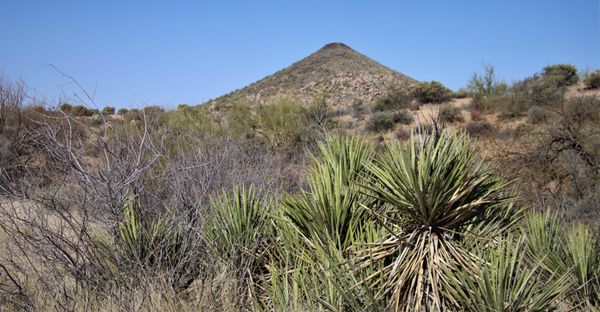 BROWN’S RANCH TRAILHEAD - Updated March 2025 - 344 Photos & 45 Reviews ...