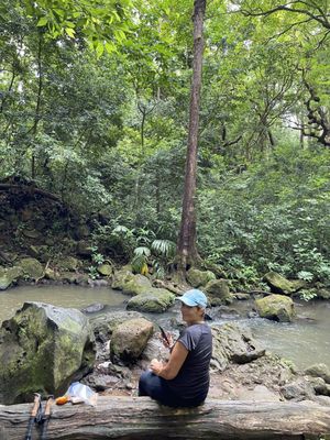 JUDD TRAIL - Updated December 2025 - 381 Photos & 105 Reviews - Nuuanu ...