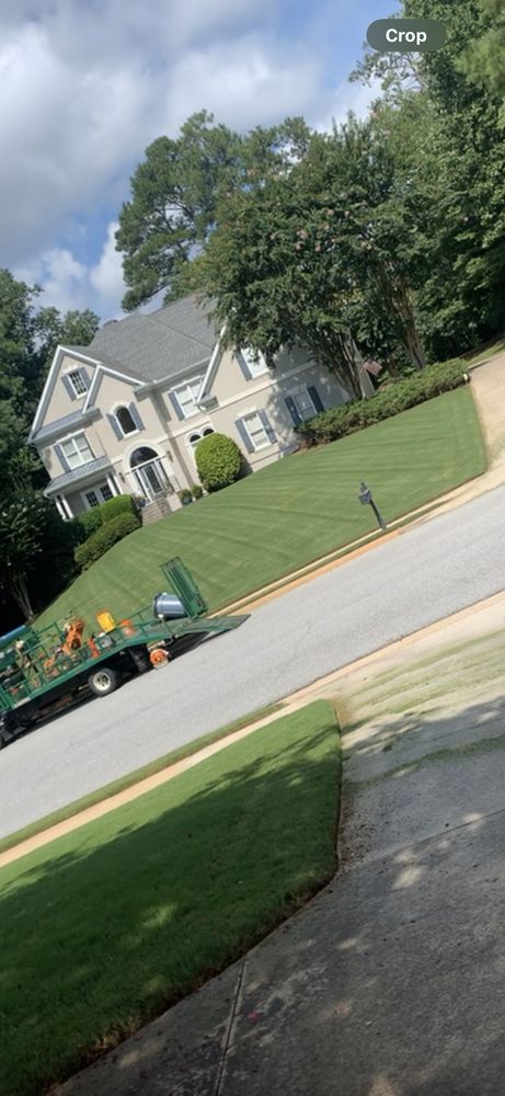 Lawn Care Service St Petersburg Fl