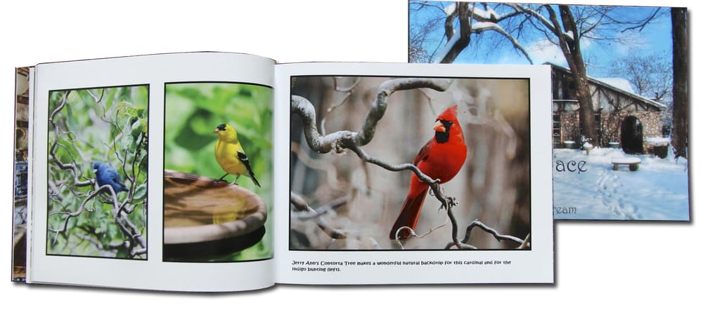 BOOK1ONE - Updated October 2025 - 10 Photos & 12 Reviews - 655 Driving ...