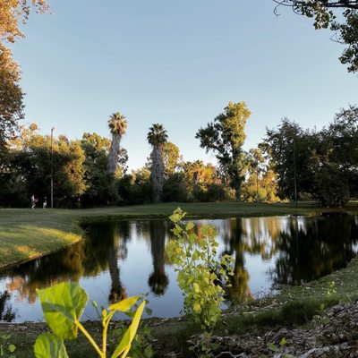 LAKE FOREST GOLF AND PRACTICE CENTER - Updated March 2025 - 88 Photos ...