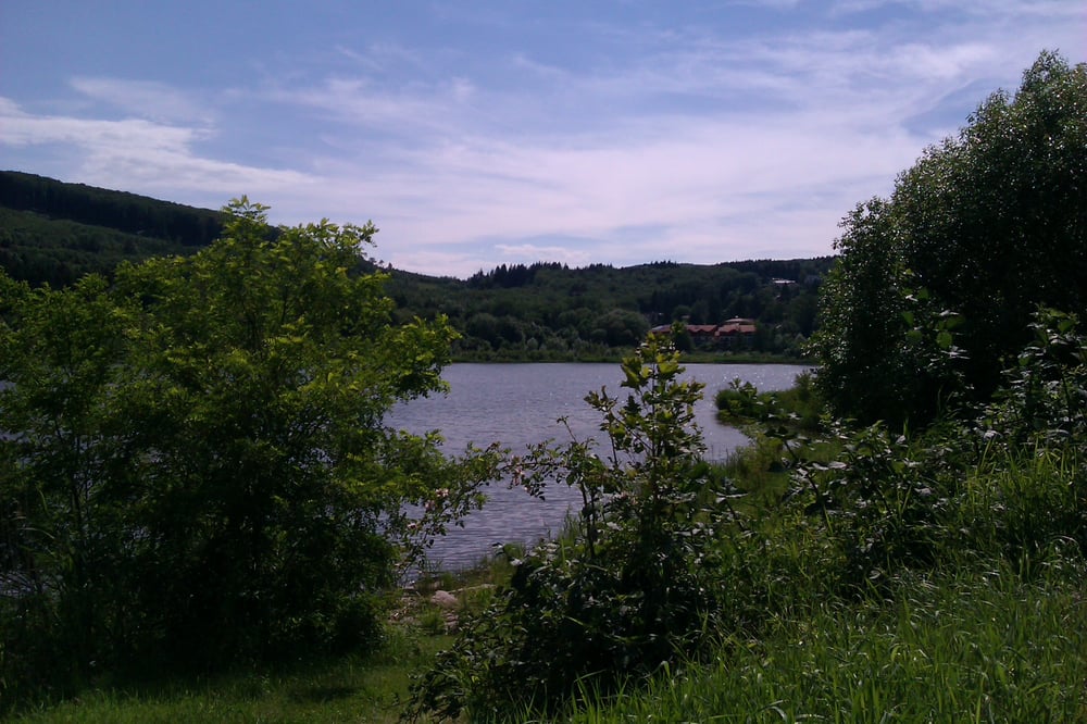 WIENERWALDSEE near you at Knabstr. 9, Tullnerbach, Niederösterreich ...