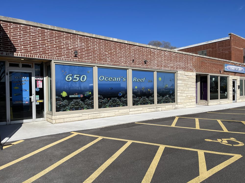 650 OCEAN’S REEF - Updated August 2025 - Request Information - 11 ...