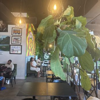 DUKUNOO JAMAICAN KITCHEN - Updated February 2025 - 1112 Photos & 736 ...