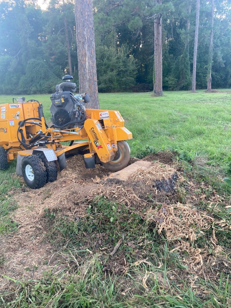 THE STUMP GUY - Updated July 2025 - Request a Quote - West Monroe, Louisiana - Tree Services ...