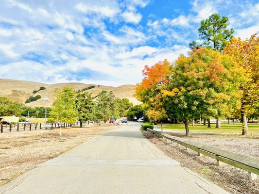 ED R. LEVIN COUNTY PARK - Updated July 2025 - 926 Photos & 205 Reviews ...